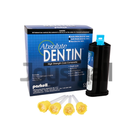 Absolute Dentin 엡솔루트 덴틴